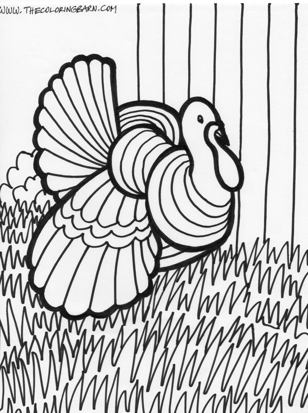 Farm Turkey Coloring Page - The Coloring Barn